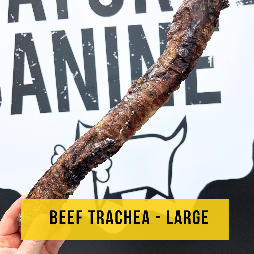 Dried Beef Trachea – The Natural Canine
