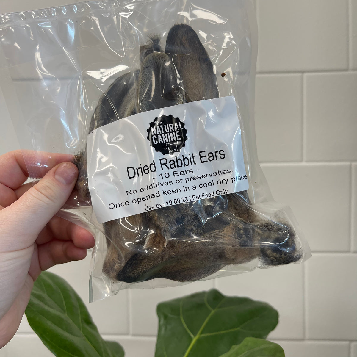 Dried Rabbit Ear (Fur on) – The Natural Canine